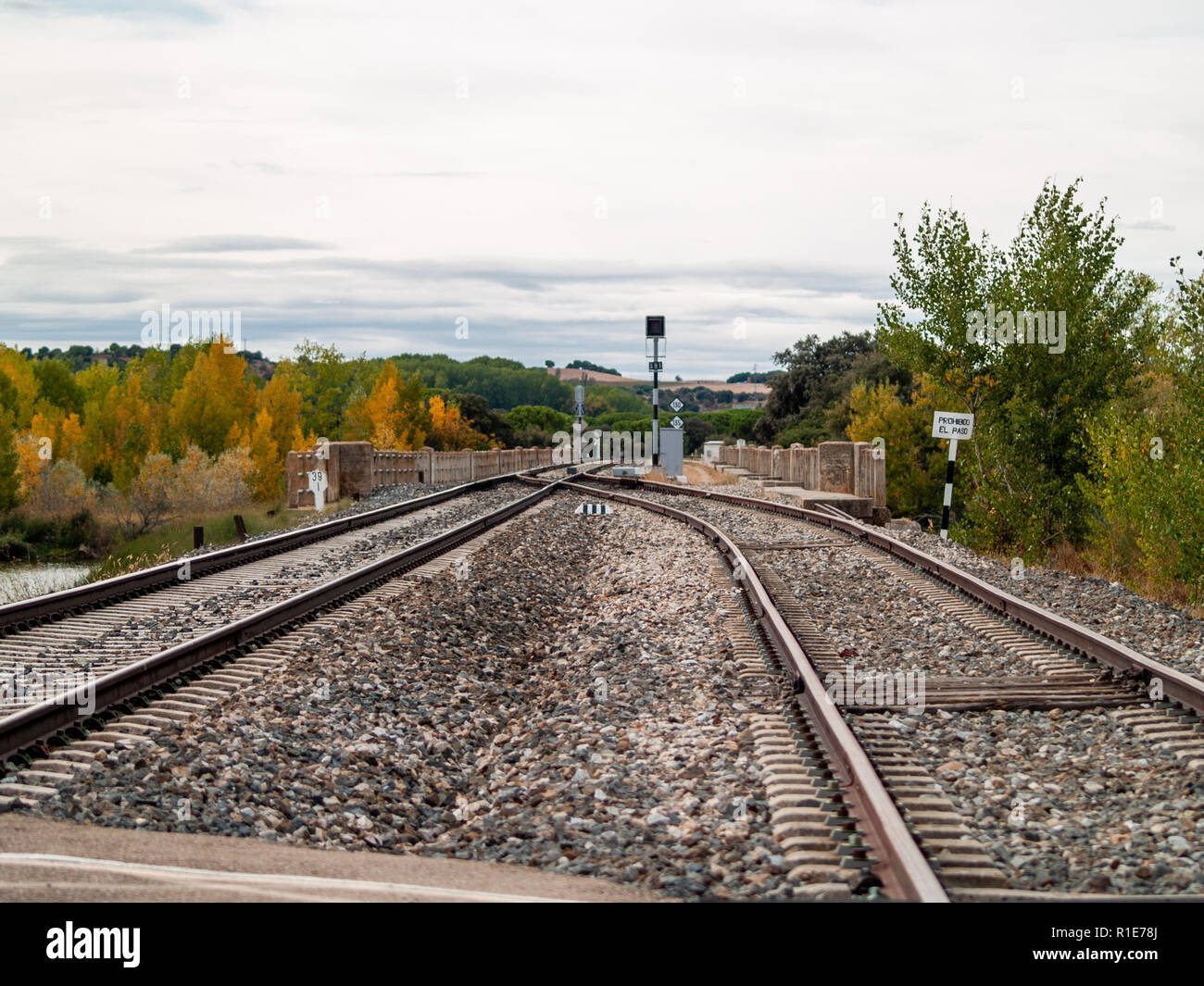 Crossroads on train tracks that go through a landscape in autumn with ...