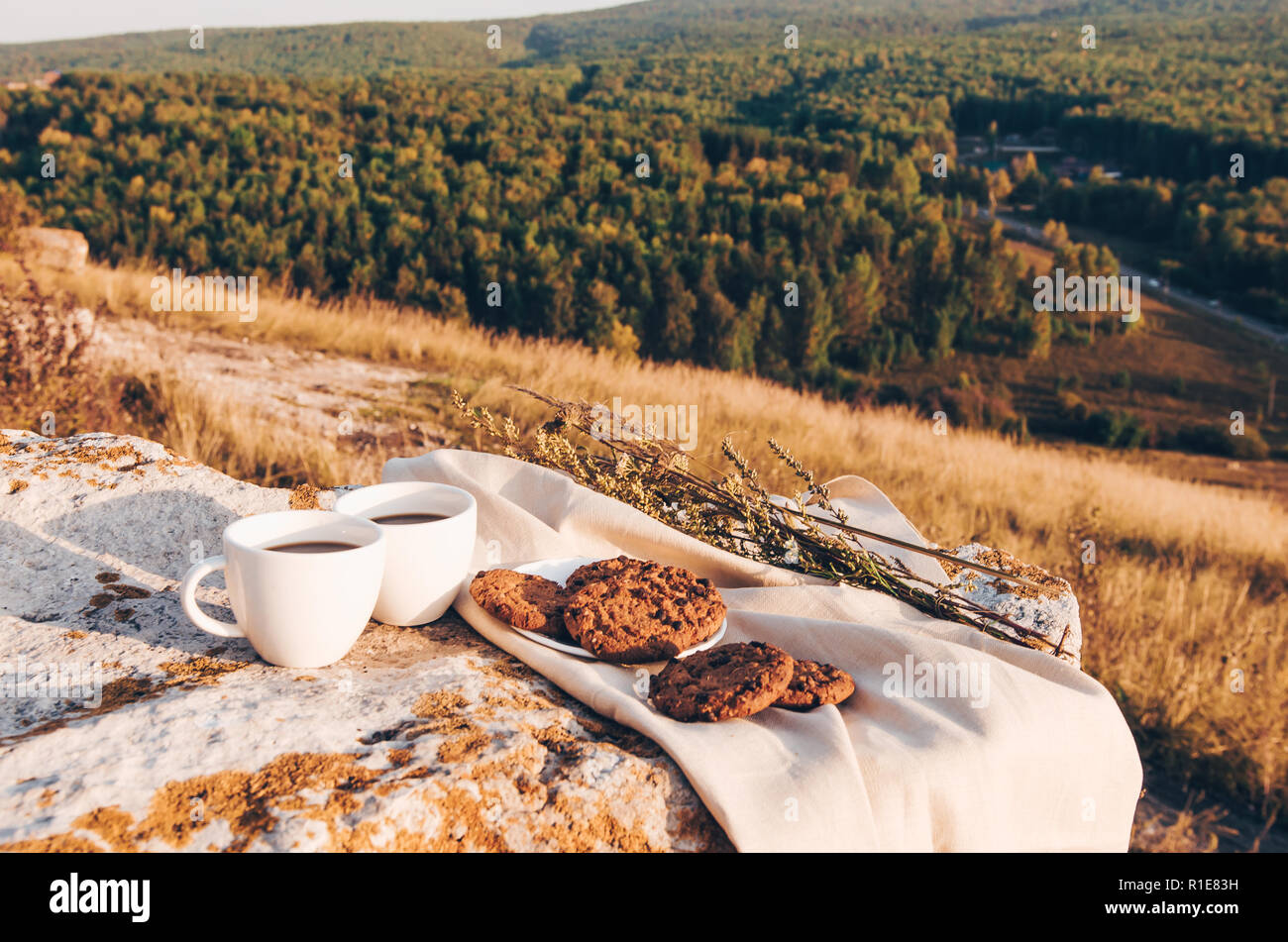 Picnic lunch outdoor. Two coffee cups and homemade cookies Stock Photo ...