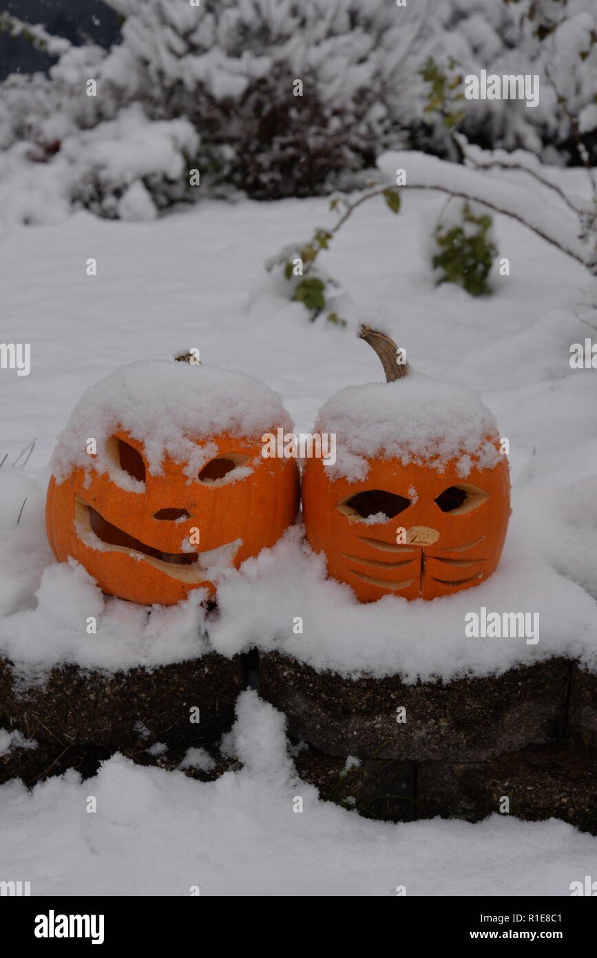 Snow covering the pumpkins for Halloween Stock Photo - Alamy