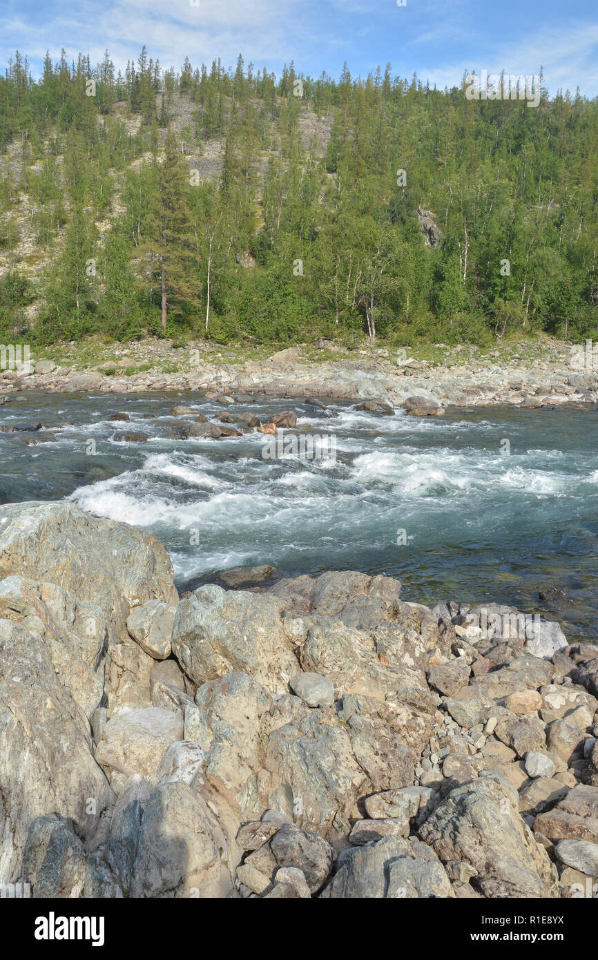 River threshold on the taiga river. Summer water rapids landscape in ...