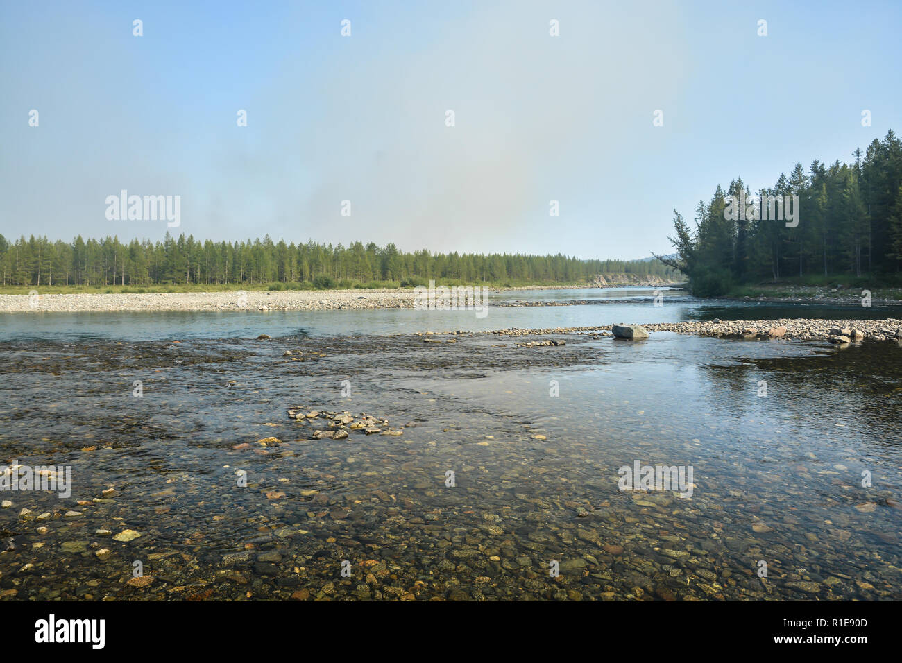Taiga river. Summer water landscape of the Polar Urals Stock Photo - Alamy