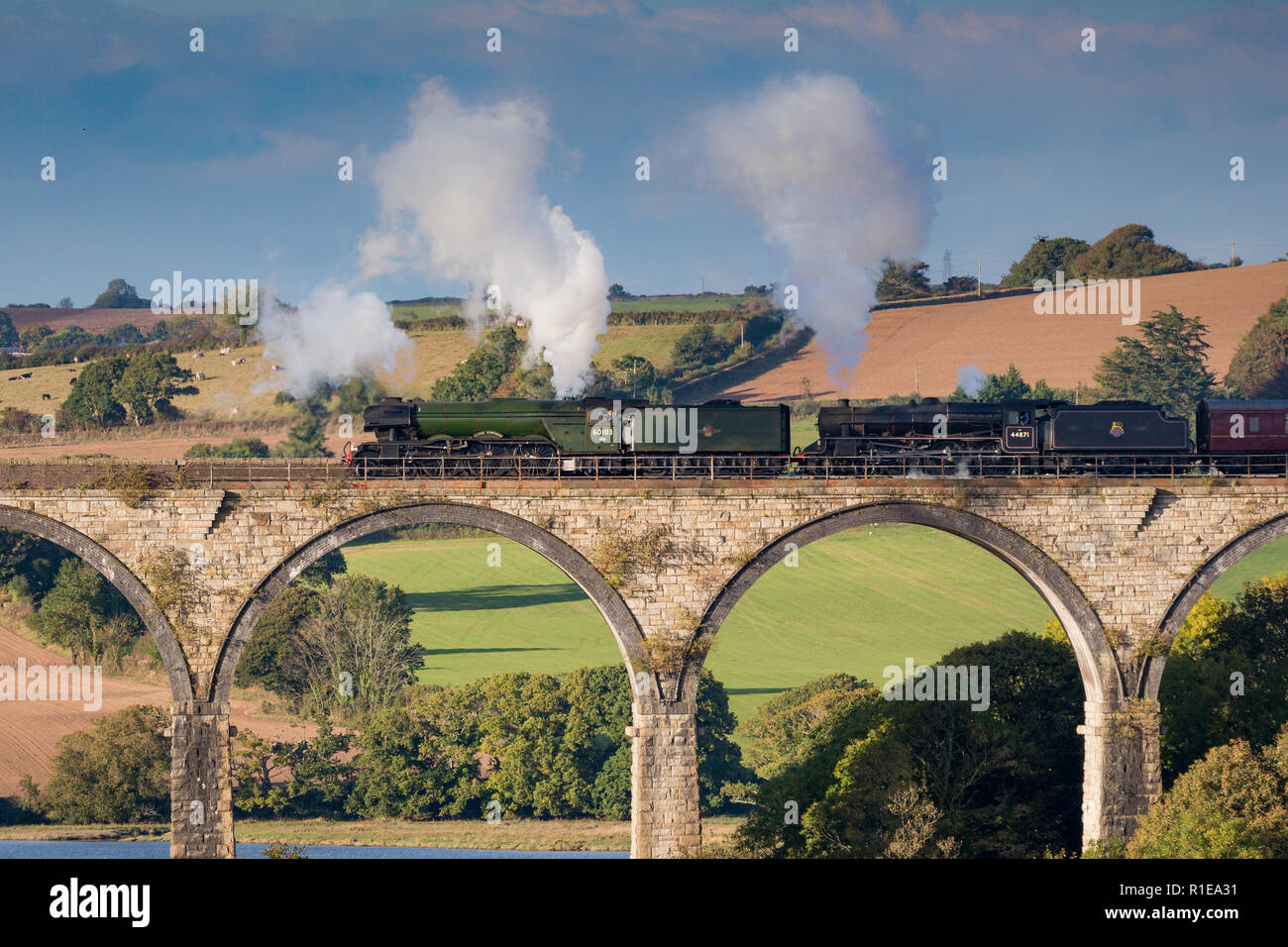 Train steam cornwall viaduct hi-res stock photography and images - Alamy