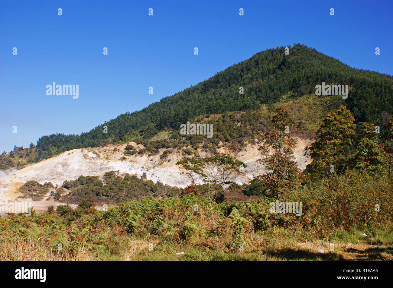 Kawah Sikidang Crater, Dieng Plateau, Wonosobo, Indonesia Stock Photo ...