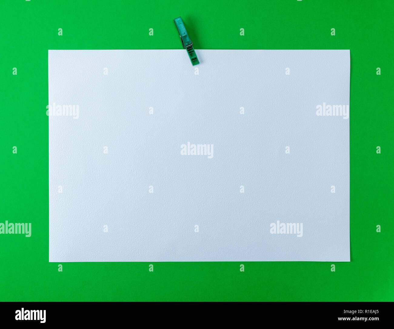 white blank drawing sheet on green plastic clothespin, green background ...