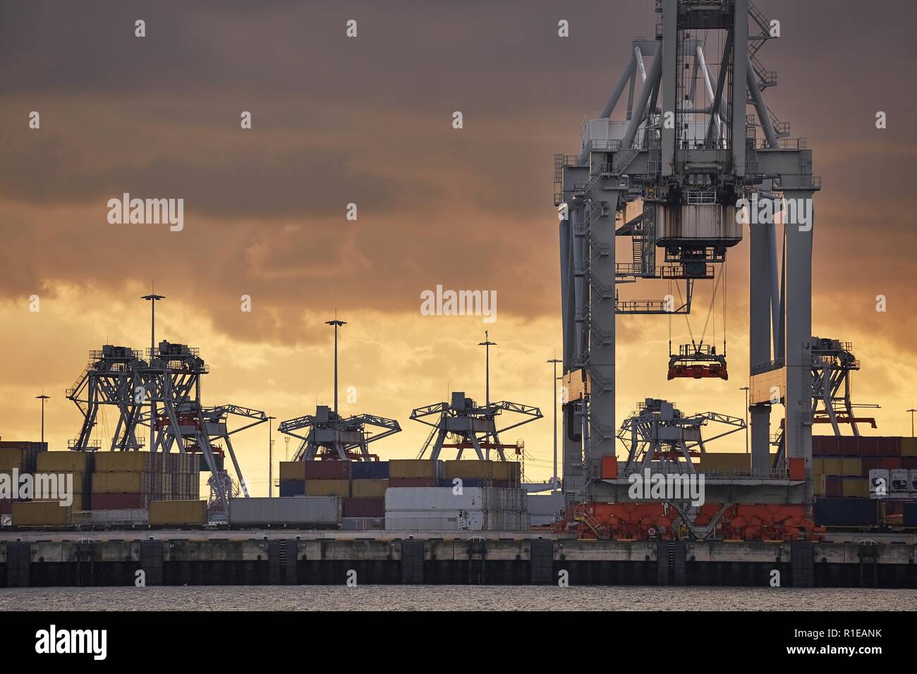 Container Dock in Rotterdam Stock Photo - Alamy