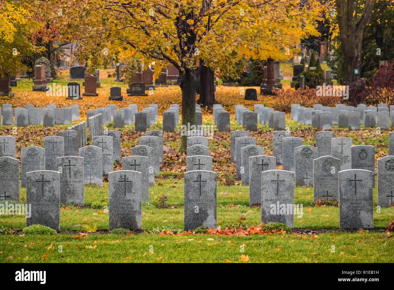 Beechwood cemetery hi-res stock photography and images - Alamy