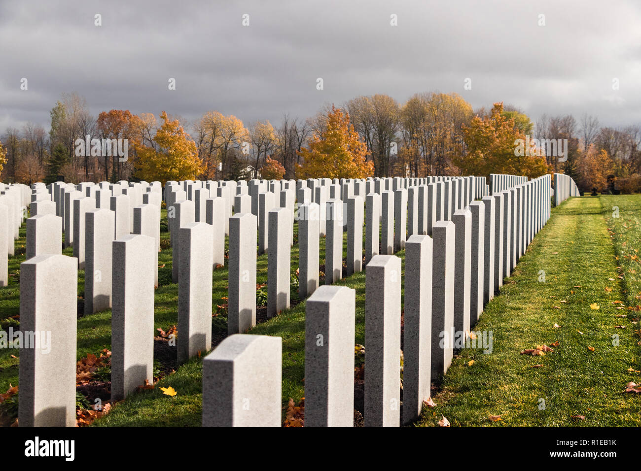 Cemetery - funerary monuments of fallen soldiers - Beechwood National ...