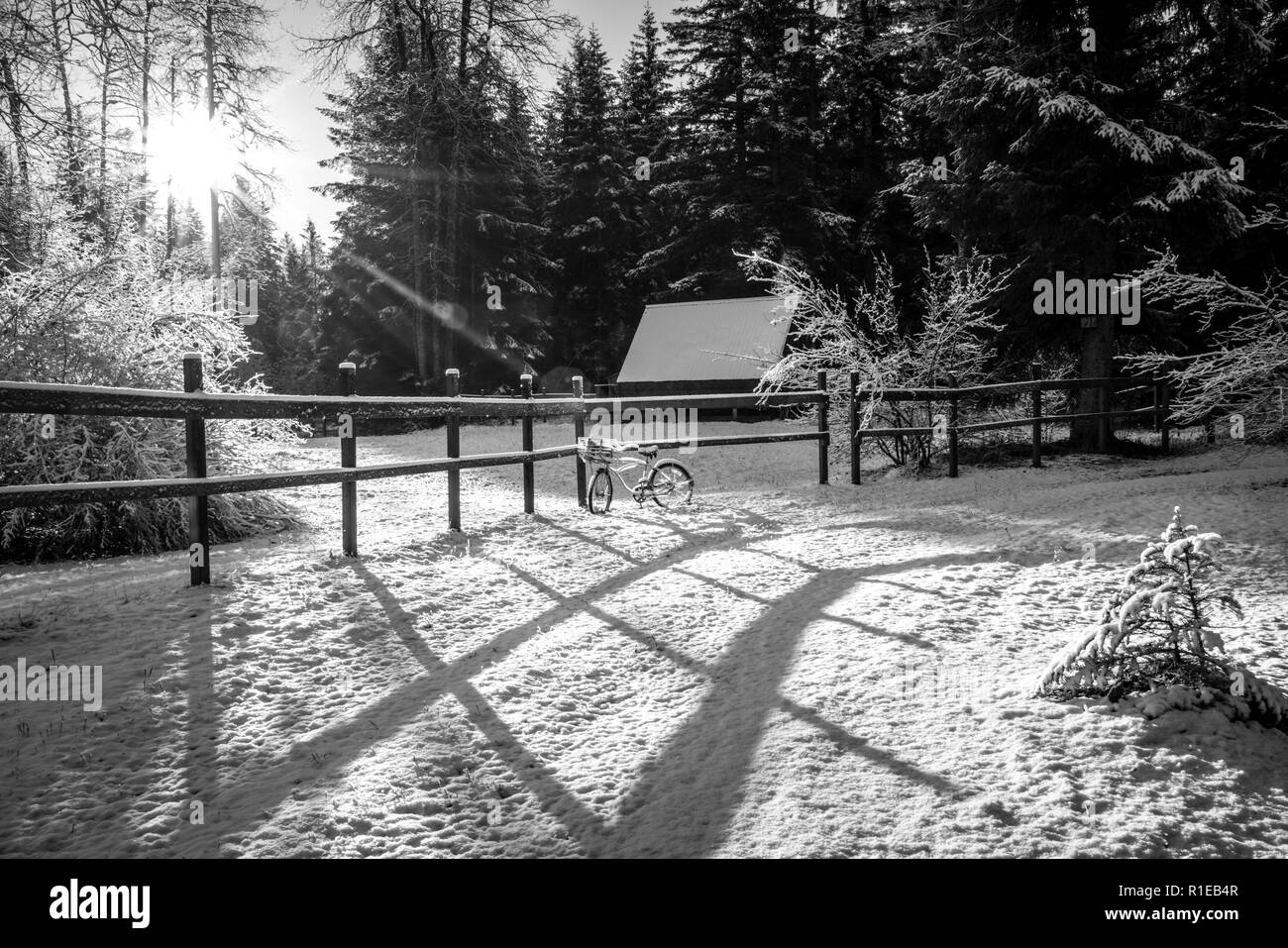 Snow scene sunburst hi-res stock photography and images - Alamy