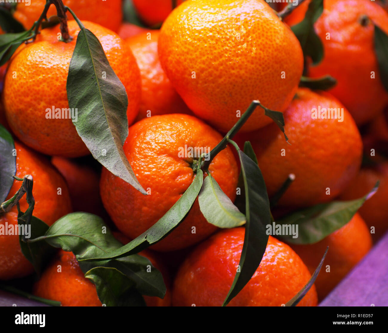 Red fresh tangerines on the market Stock Photo - Alamy