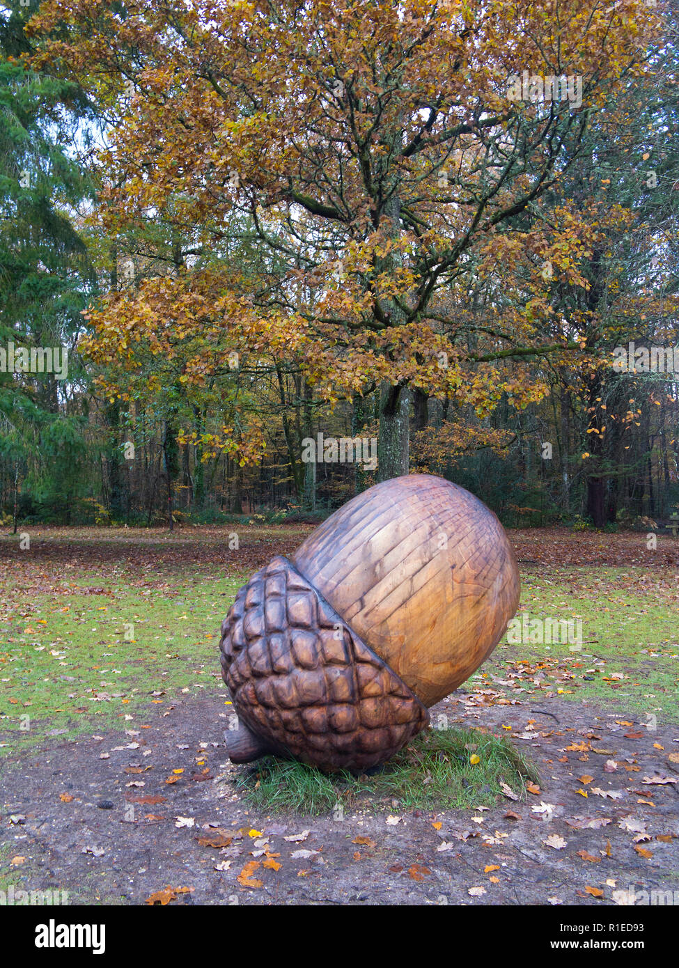 Acorn sculpture in front of oak tree in Autumn Stock Photo - Alamy