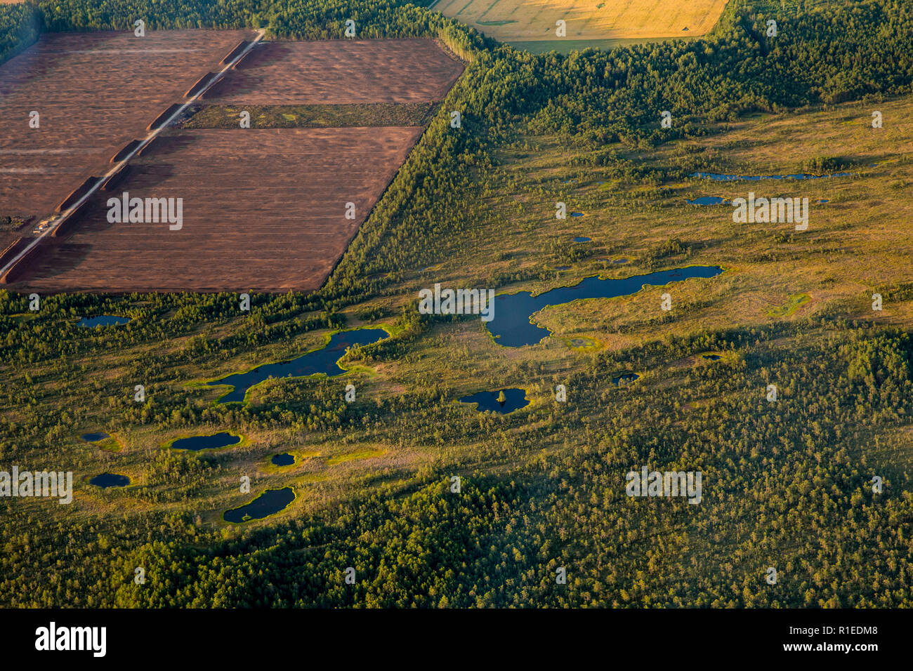 Fossil dig dry hi-res stock photography and images - Alamy