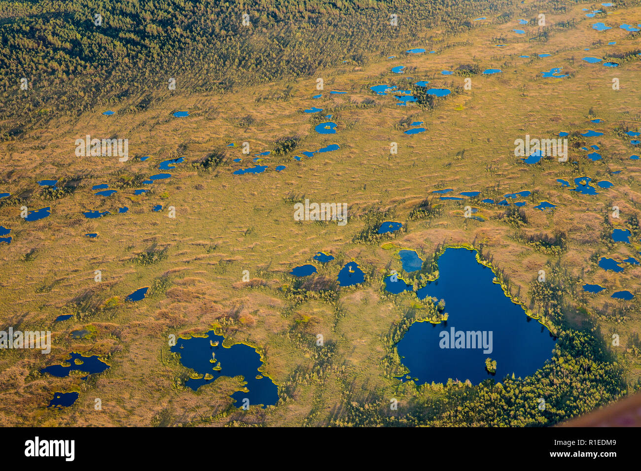 Birds eye view pattern hi-res stock photography and images - Alamy