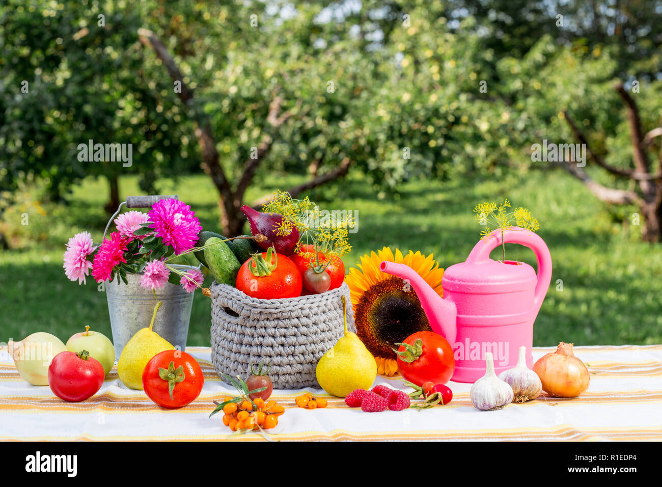 Bucket with fruits hi-res stock photography and images - Alamy