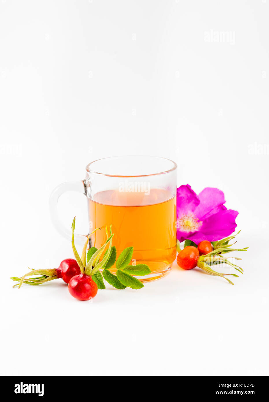 Side view of the rose hip or rosehip, also called rose haw and rose hep ...