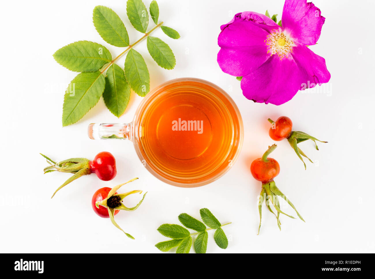 Flat lay view of the rose hip or rosehip, also called rose haw and rose ...