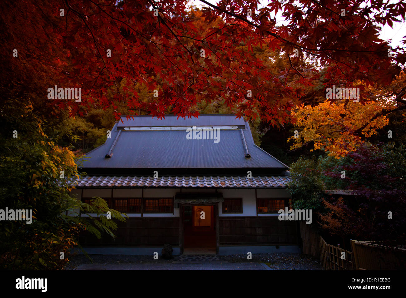 Minoo hi-res stock photography and images - Alamy