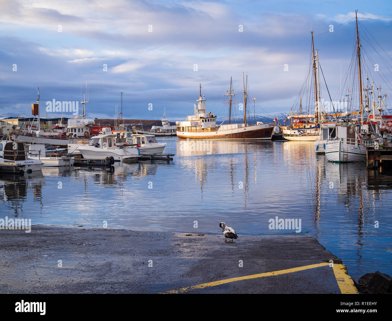 Icelandic harbor view hi-res stock photography and images - Alamy