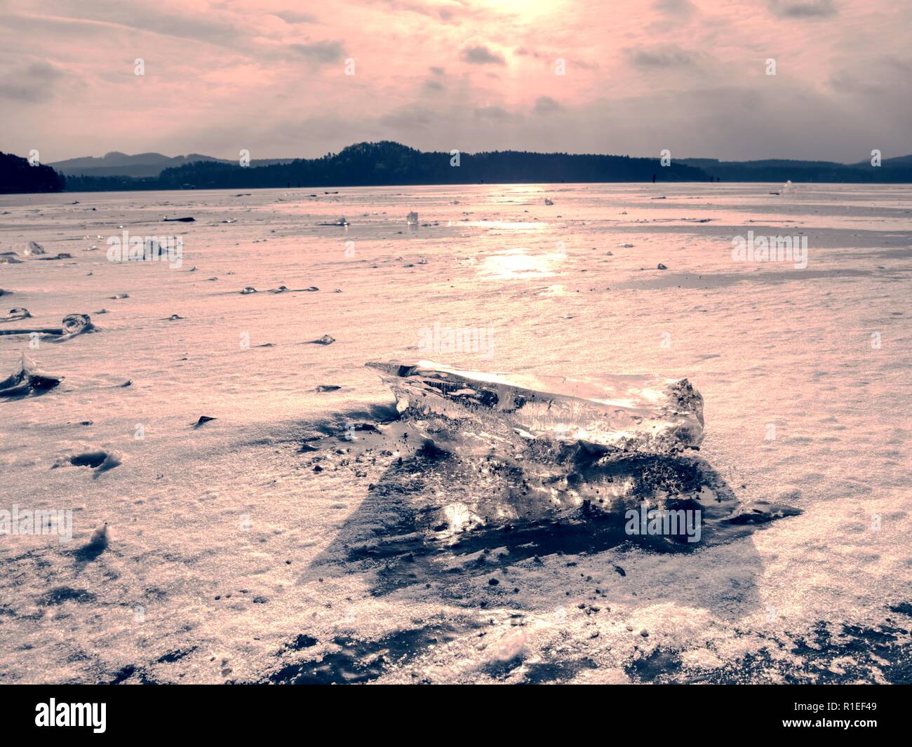 Arctic ice. Broken pieces of glacier floating on large floe to ocean ...