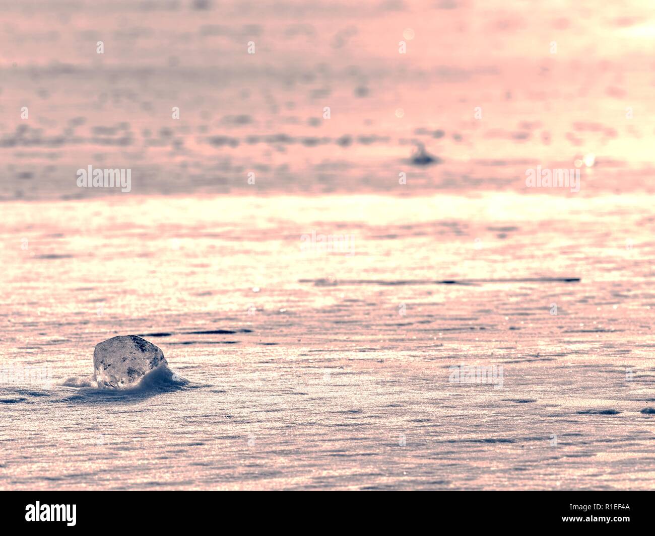 Pieces of glacier an ice shelf. Ice floating freely in open sea water ...