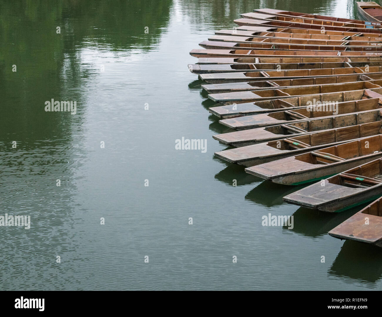 Punts, traditional water craft in Cambridge, England, UK Stock Photo ...