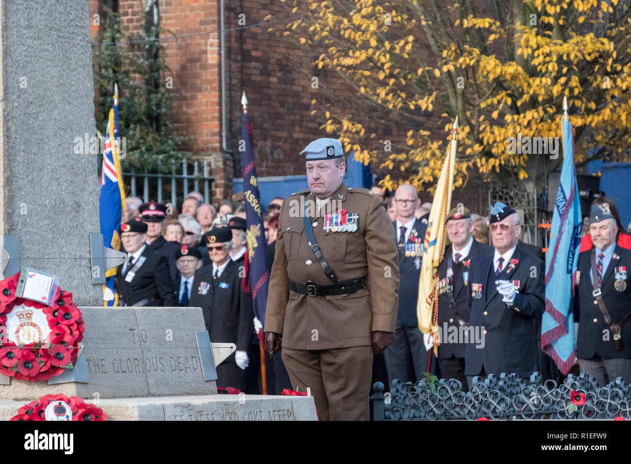 An RAF officer lays a reef during the Remembrance Sunday parade ...