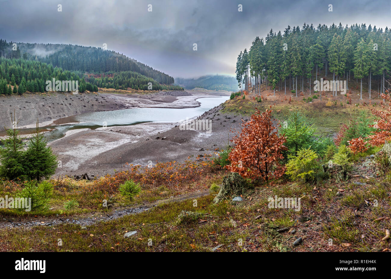 The river dam Goldistal at morning time in Thuringia, Germany Stock ...