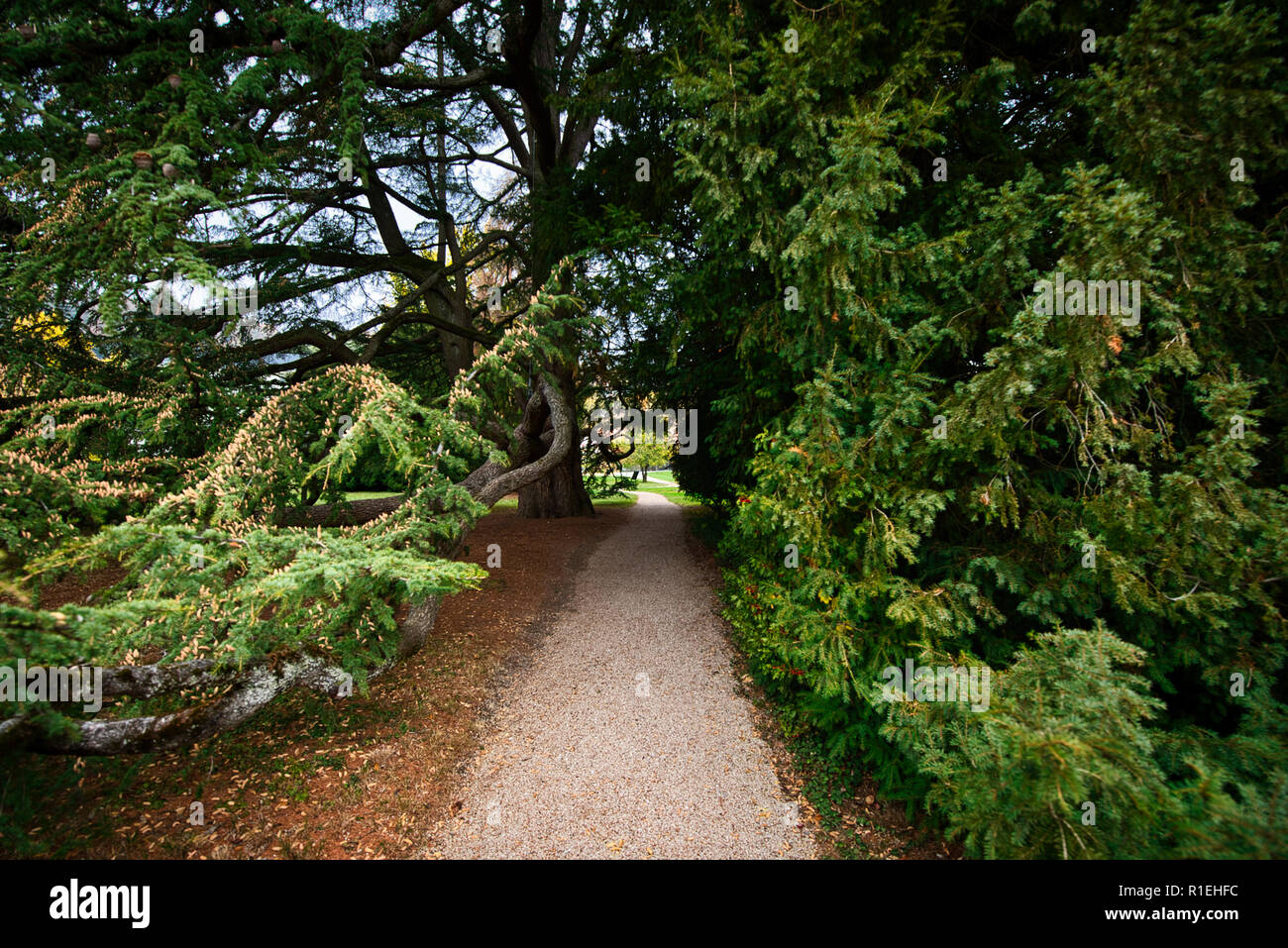 The tomb of charlie chaplin hi-res stock photography and images - Alamy