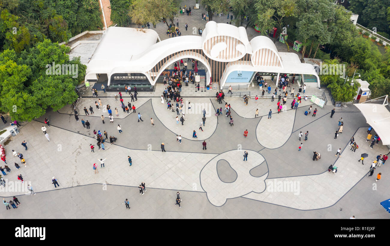 Chengdu Research Base of Giant Panda Breeding, Chendu, Sichuan Province ...