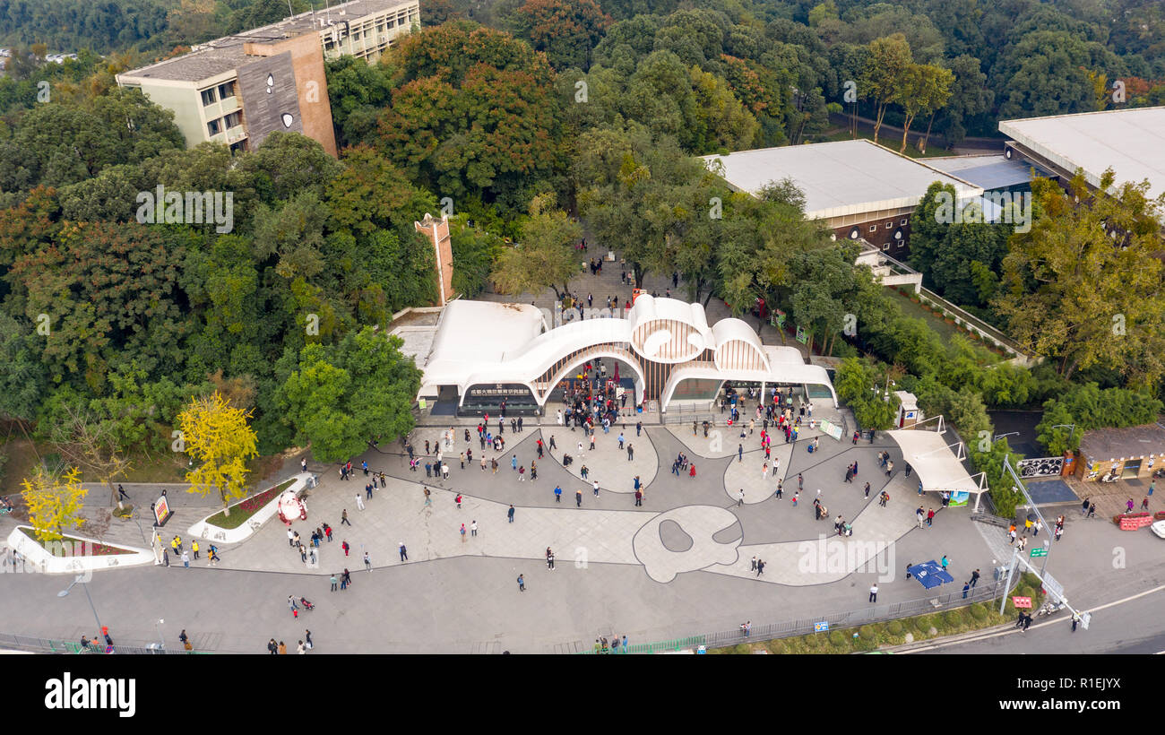 Chengdu Research Base of Giant Panda Breeding, Chendu, Sichuan Province ...