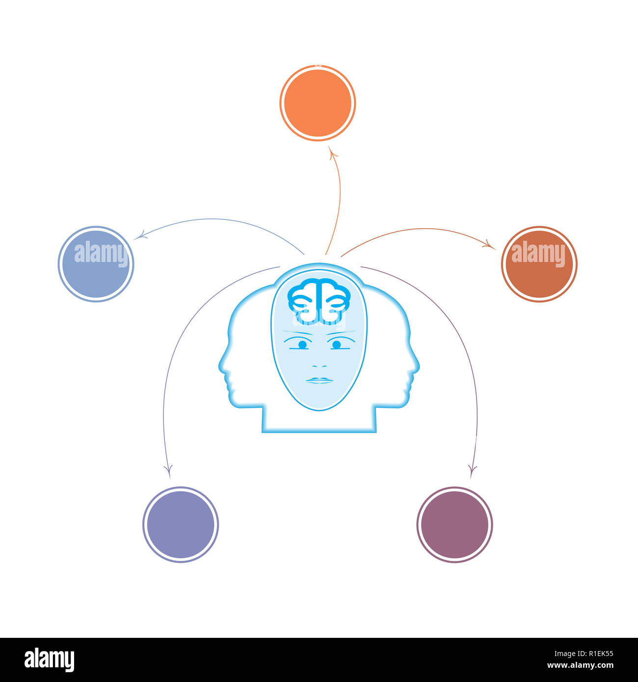 Brain storm infographics concept for 5 options Stock Photo - Alamy