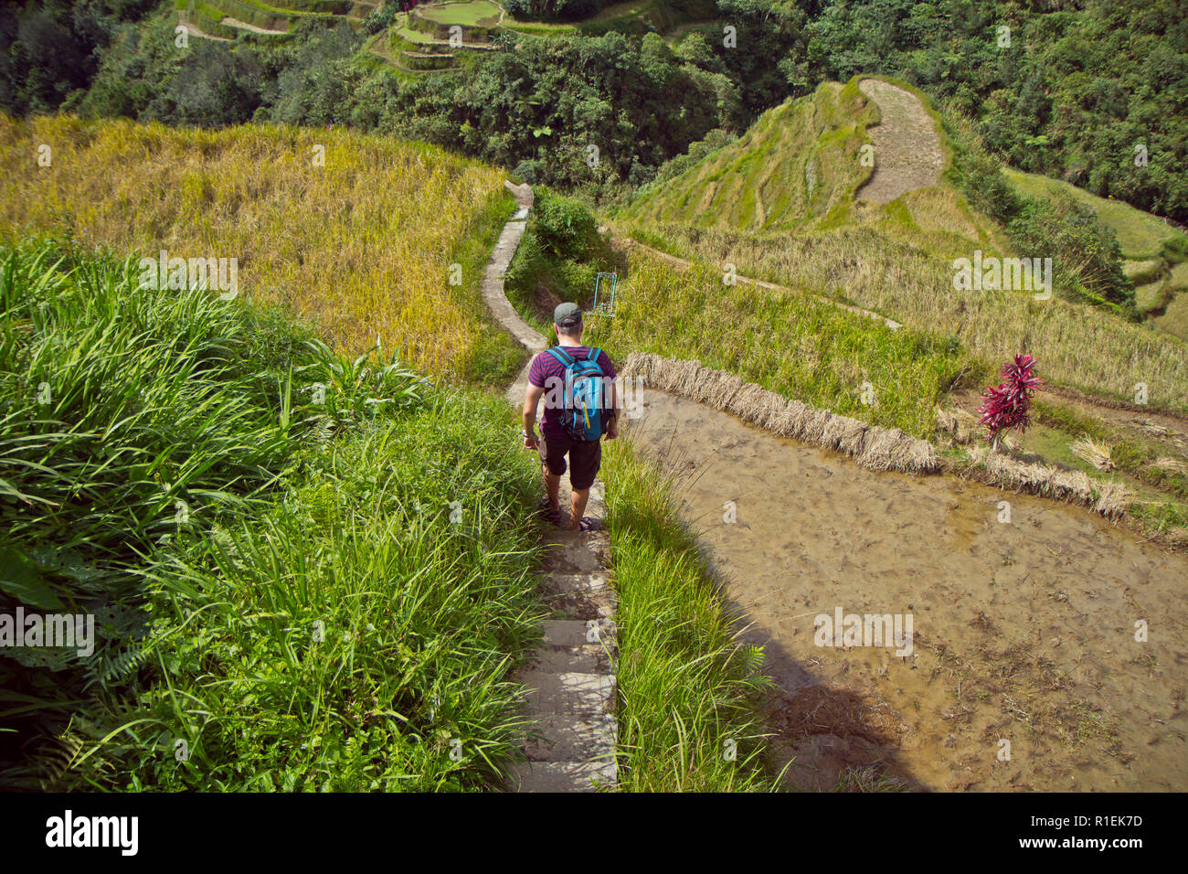 The Banaue Rice Terraces are carved into the mountains of Ifugao in the ...