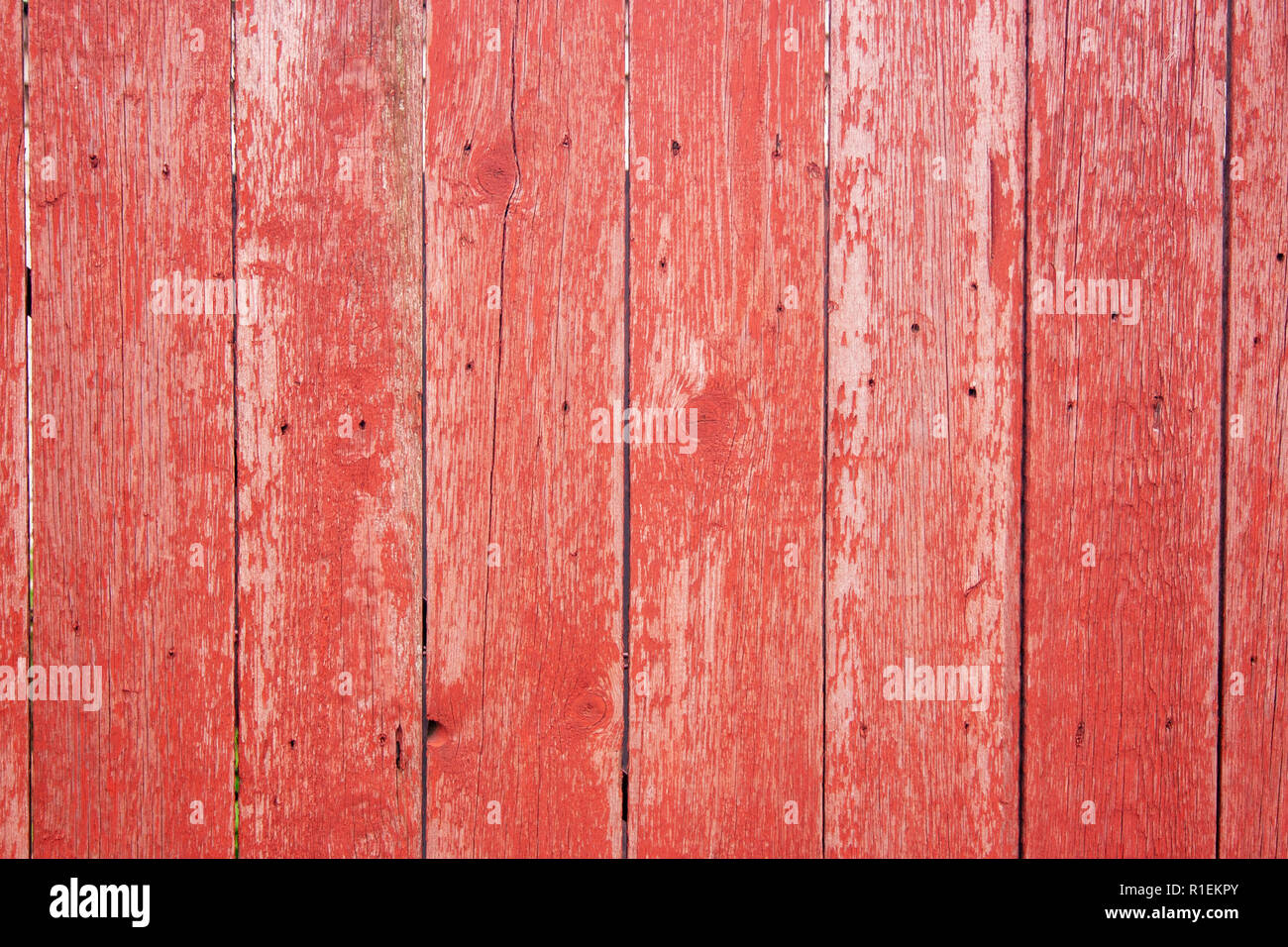 Red painted old and aged wood texture. Red wooden texture for design ...