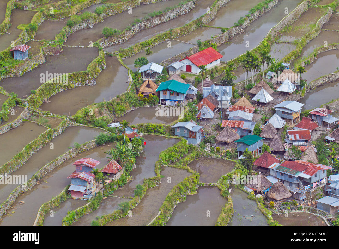 Batad is a remote village of around 1500 people in Ifugao province. It ...