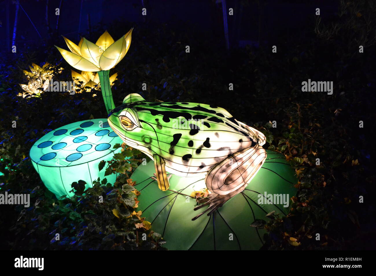 A frog exhibit at Wild Lights 2018 at Dubin Zoo in the Phoenix Park in ...