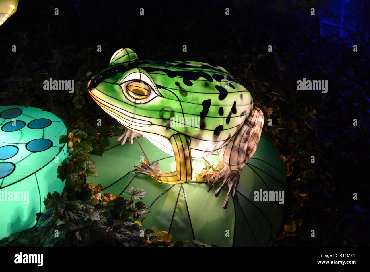 A frog exhibit at Wild Lights 2018 at Dubin Zoo in the Phoenix Park in ...