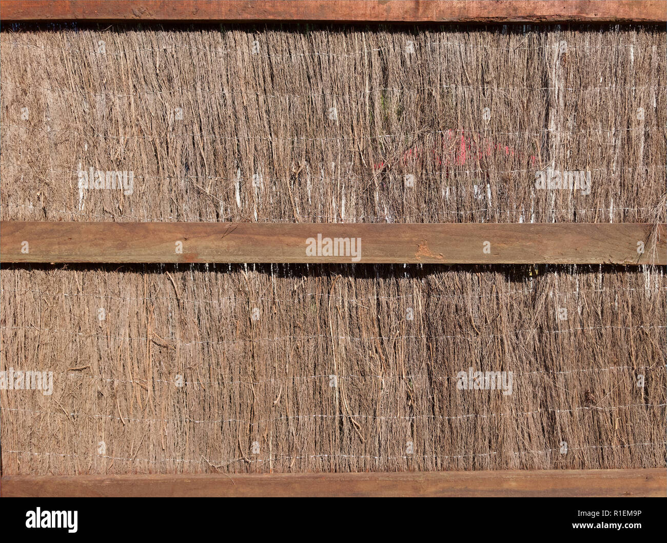 Thatched wall with natural hay or dried grass plant. Background ...
