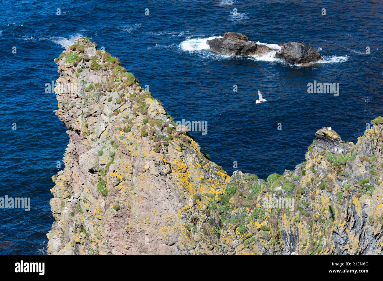 Landscape of Fair Isle, Shetland, UK Stock Photo - Alamy