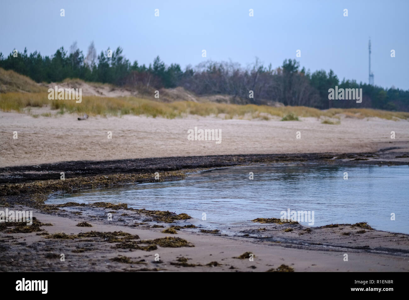 empty sea beach in autumn with mist and cool tones in empty sand Stock ...