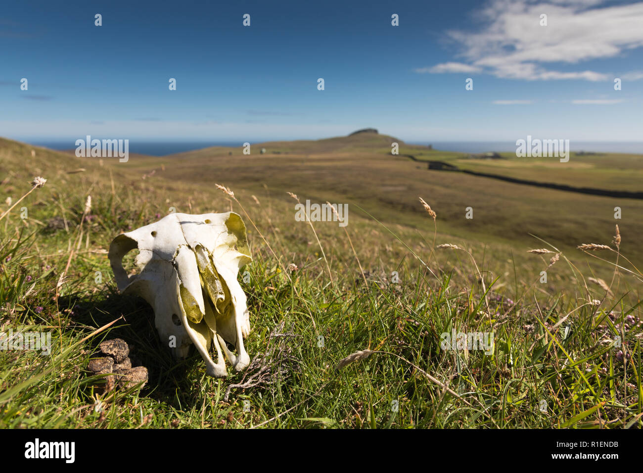 Landscape of Fair Isle, Shetland, UK Stock Photo - Alamy