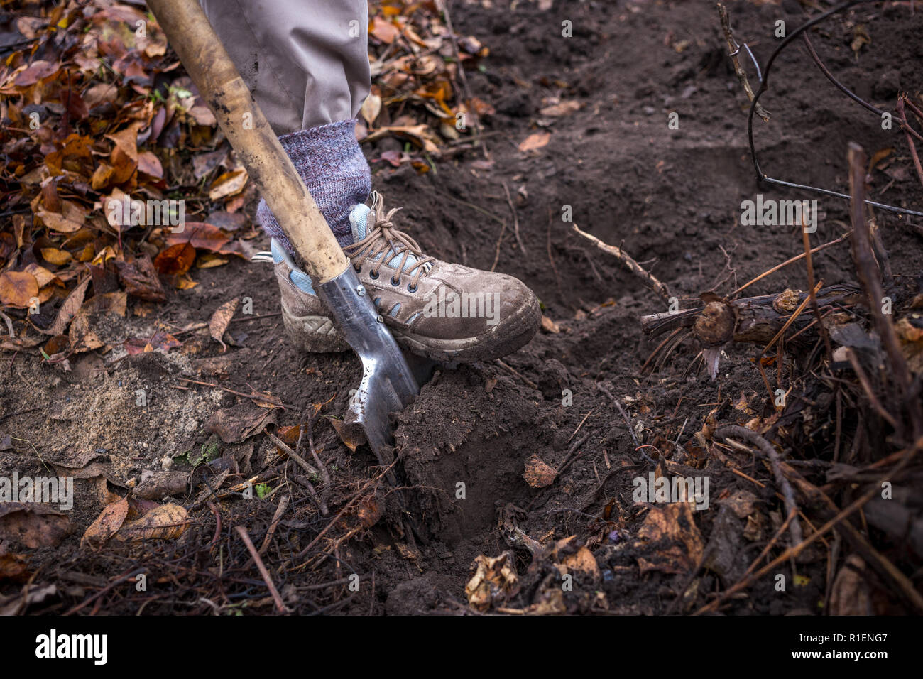 Man do hard work digging soil with metal shovel Stock Photo - Alamy