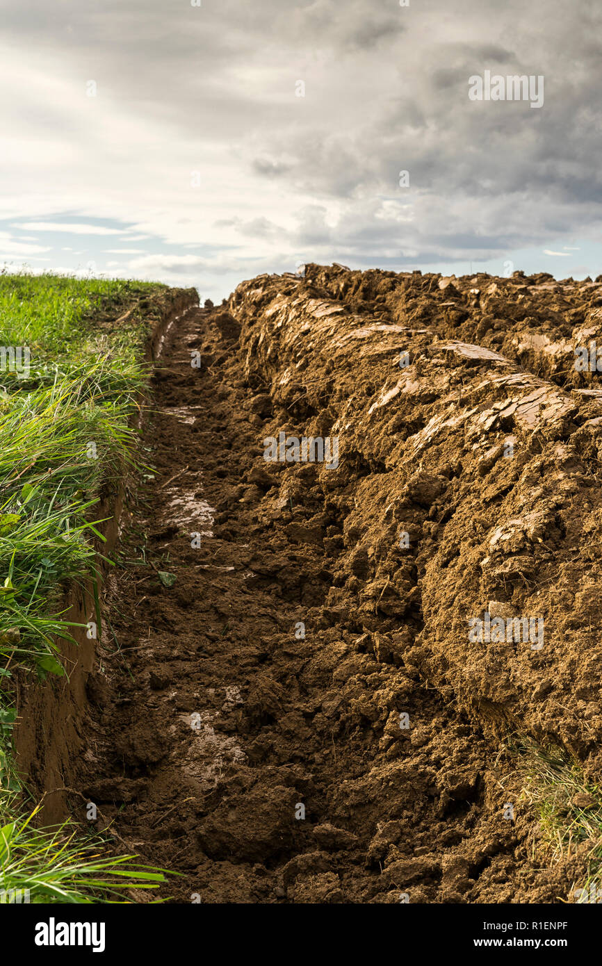 Plowed field in the autumn time Stock Photo - Alamy