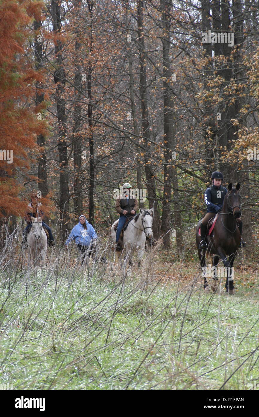 Open Wooded Areas High Resolution Stock Photography and Images - Alamy