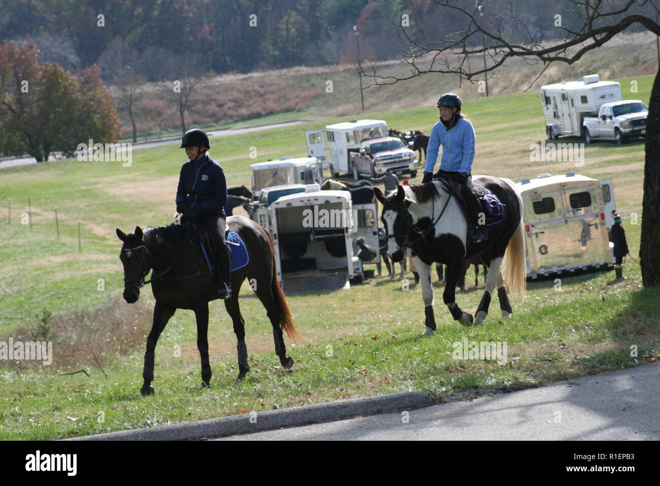 Open wooded areas hi-res stock photography and images - Alamy