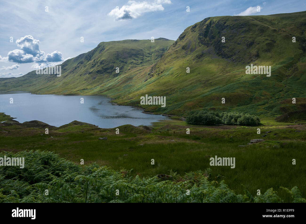 Loch turret reservoir summer hi-res stock photography and images - Alamy