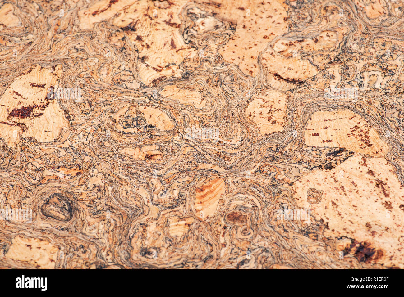 Macro shot of natural brown cork board like art seamless texture ...