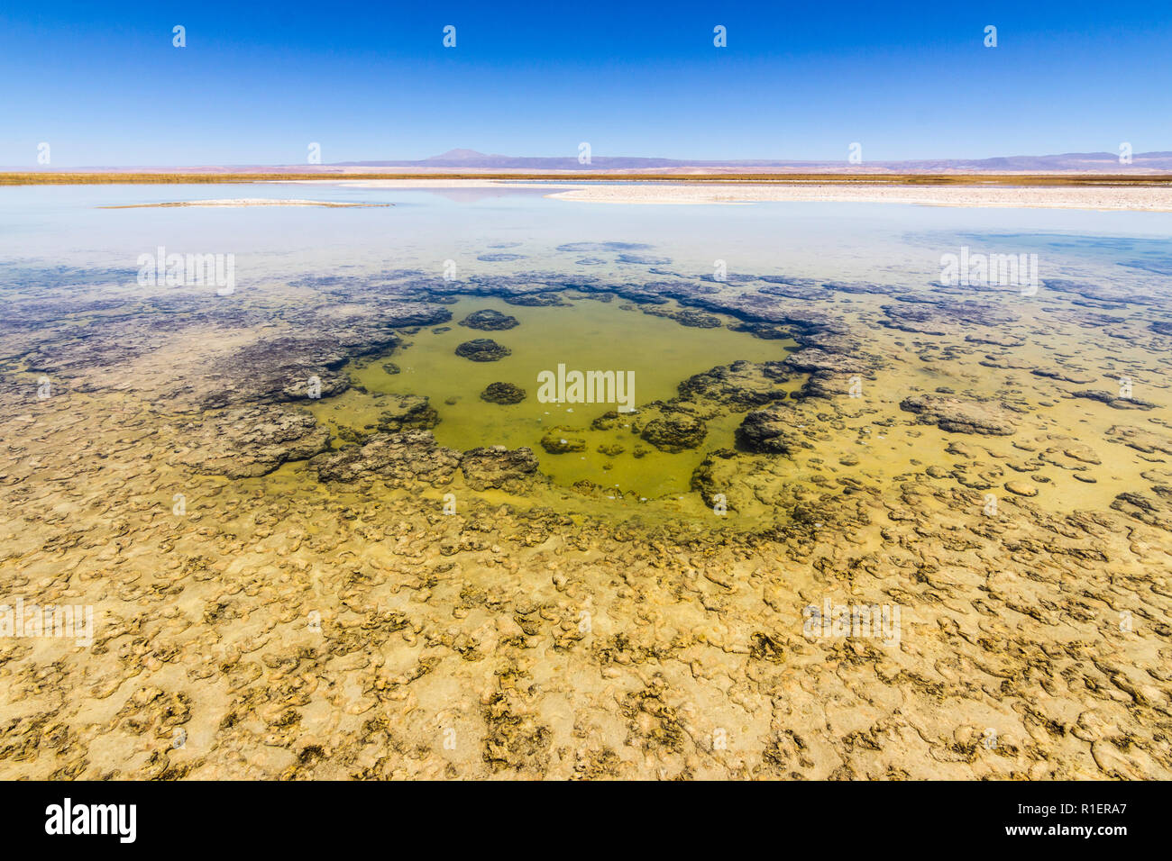 Atacama salt flats hi-res stock photography and images - Alamy