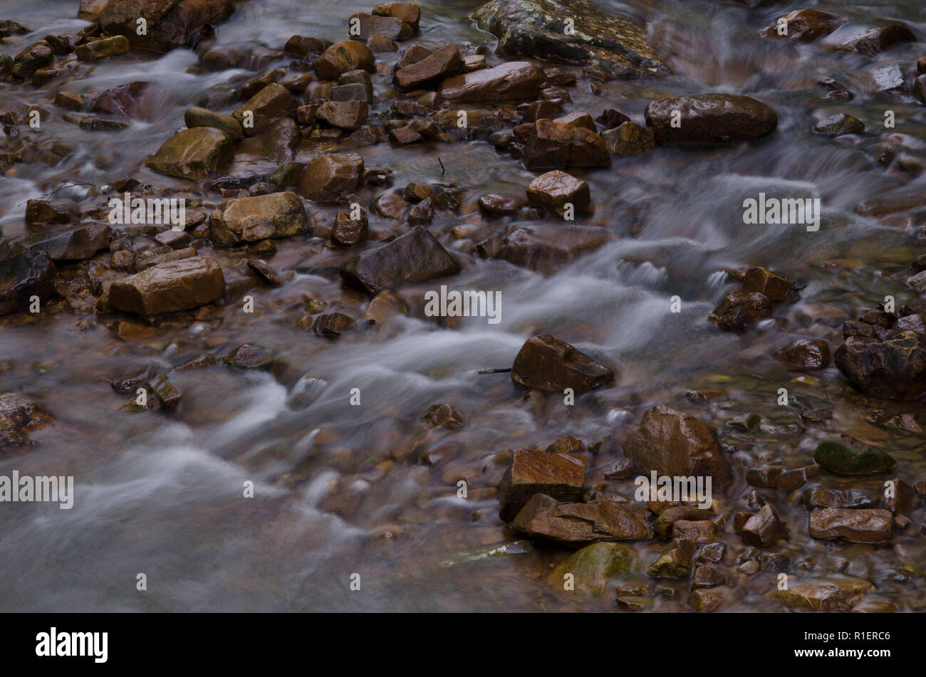 Pigeon Creek flowing through the Ouachita National Forest on the Beech ...