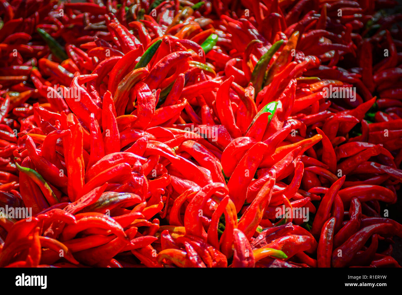 Hanging string of chilis hi-res stock photography and images - Alamy