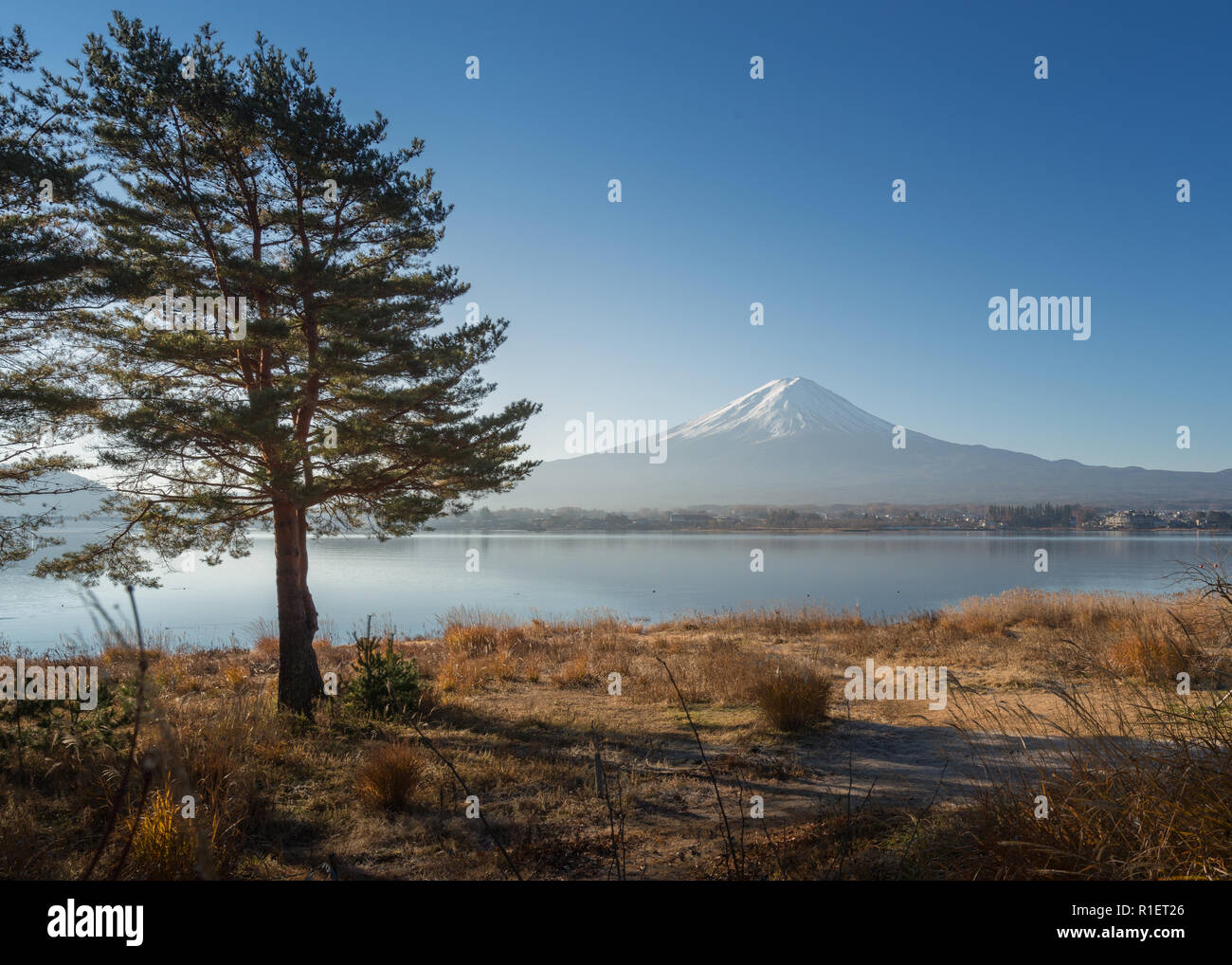 Beautiful Mount Fuji view from around lake Kawaguchi in the morning ...