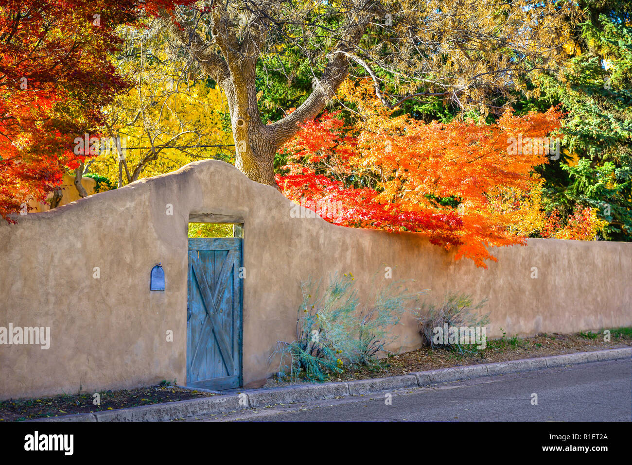 Autumn trees with fall foliage makes for beautifull scene behind ...